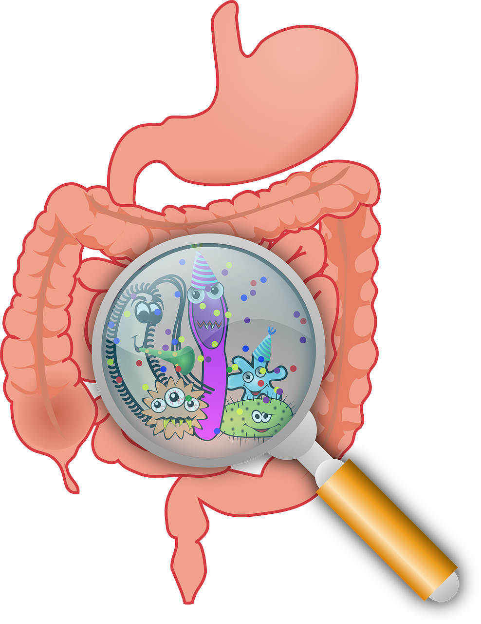 Root causes of IBS - Nutritionist Bristol, Nutritional Therapy Bristol